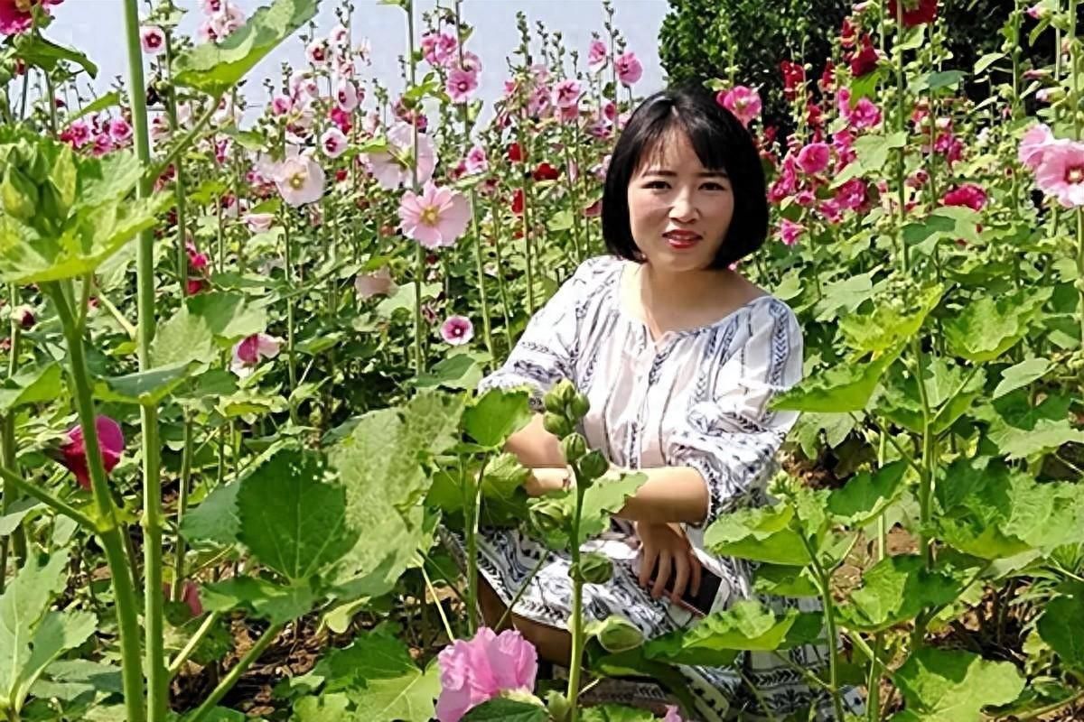 文章图片