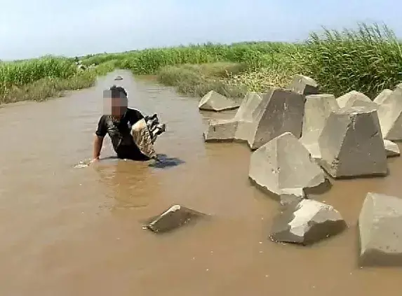 文章图片