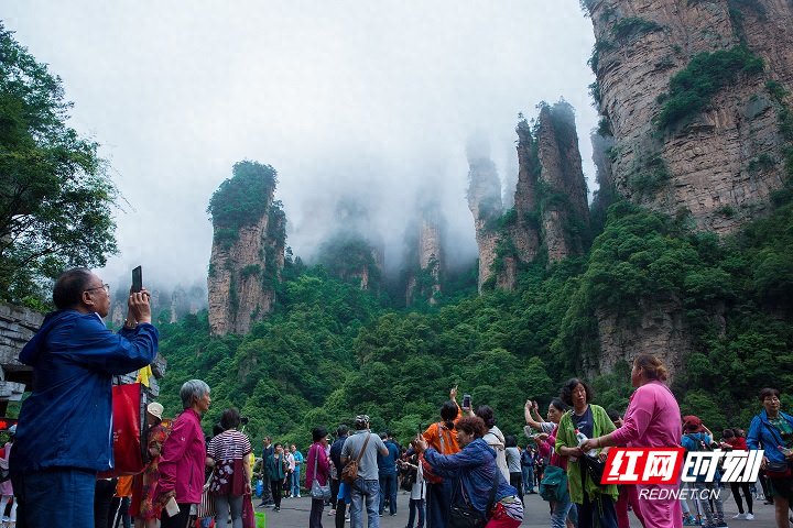 文章图片