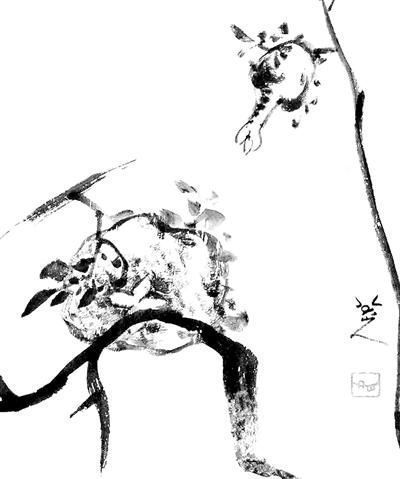 文章图片