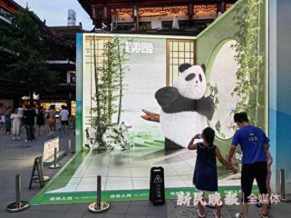 文章图片