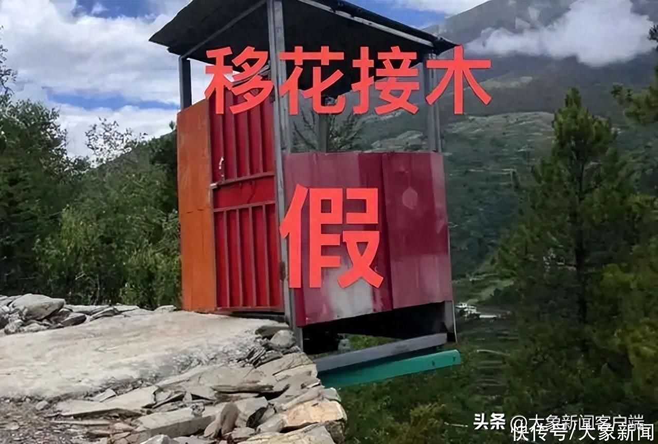 文章图片